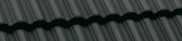 Nelskamp MS5 – doprodej – Nelskamp