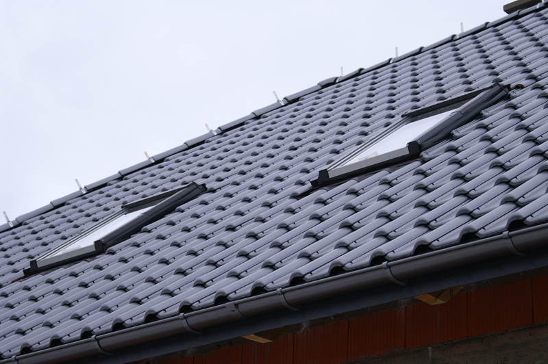 Nelskamp F8 1/2 – Nelskamp